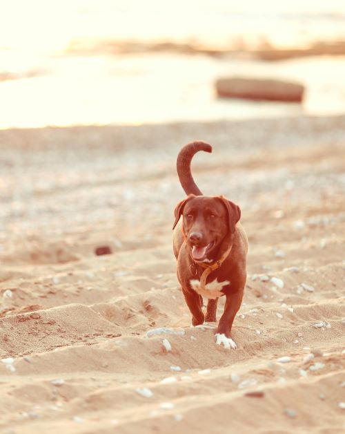 George Cromack – E3Live