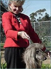 Rosemary Sutton Owner of Summerwinds – E3Live